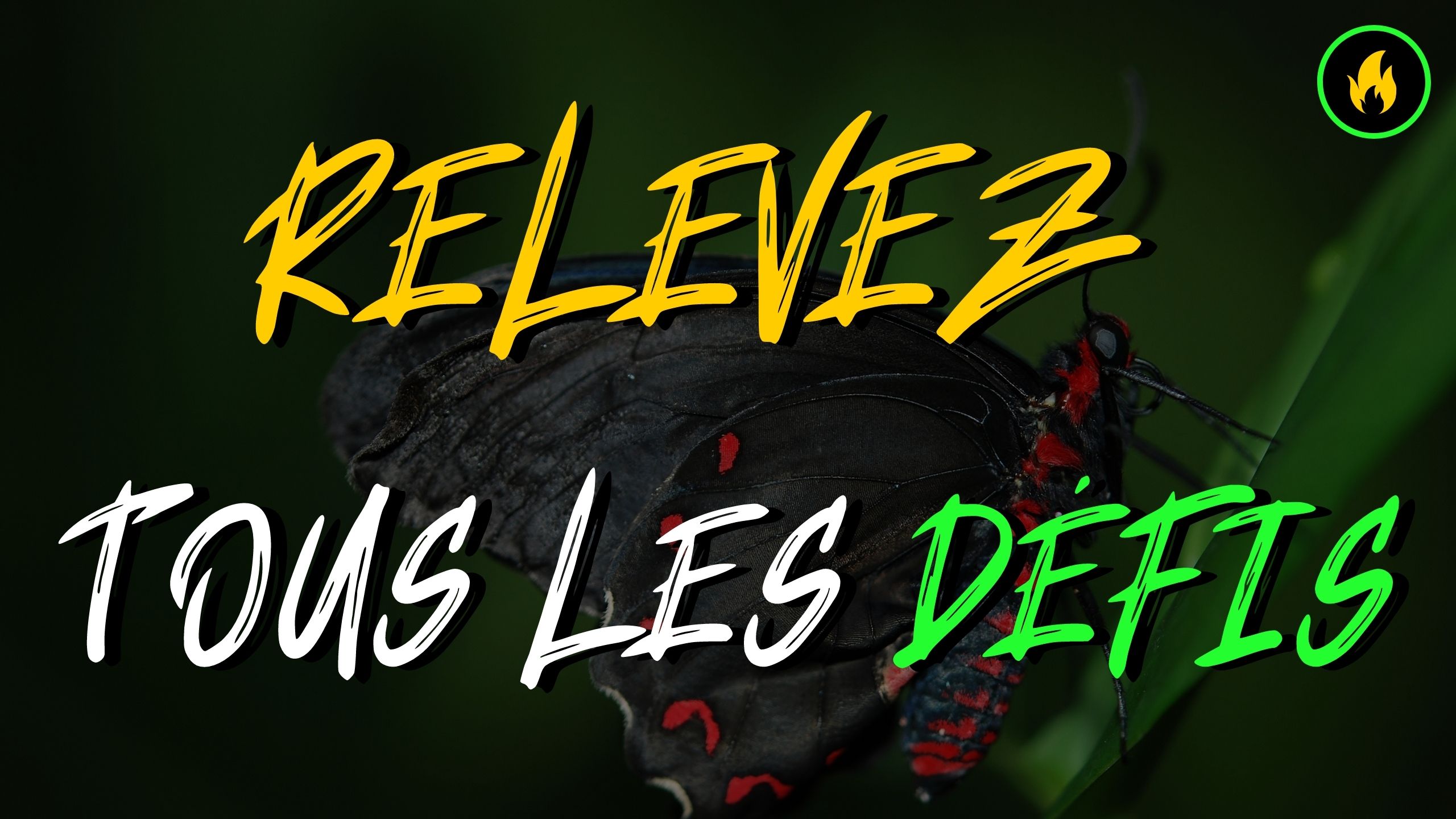 Histoire inspirante | Relevez tous les défis de la vie – Bulles de Légèreté