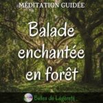 Séances de méditations guidées - Bulles de Légèreté